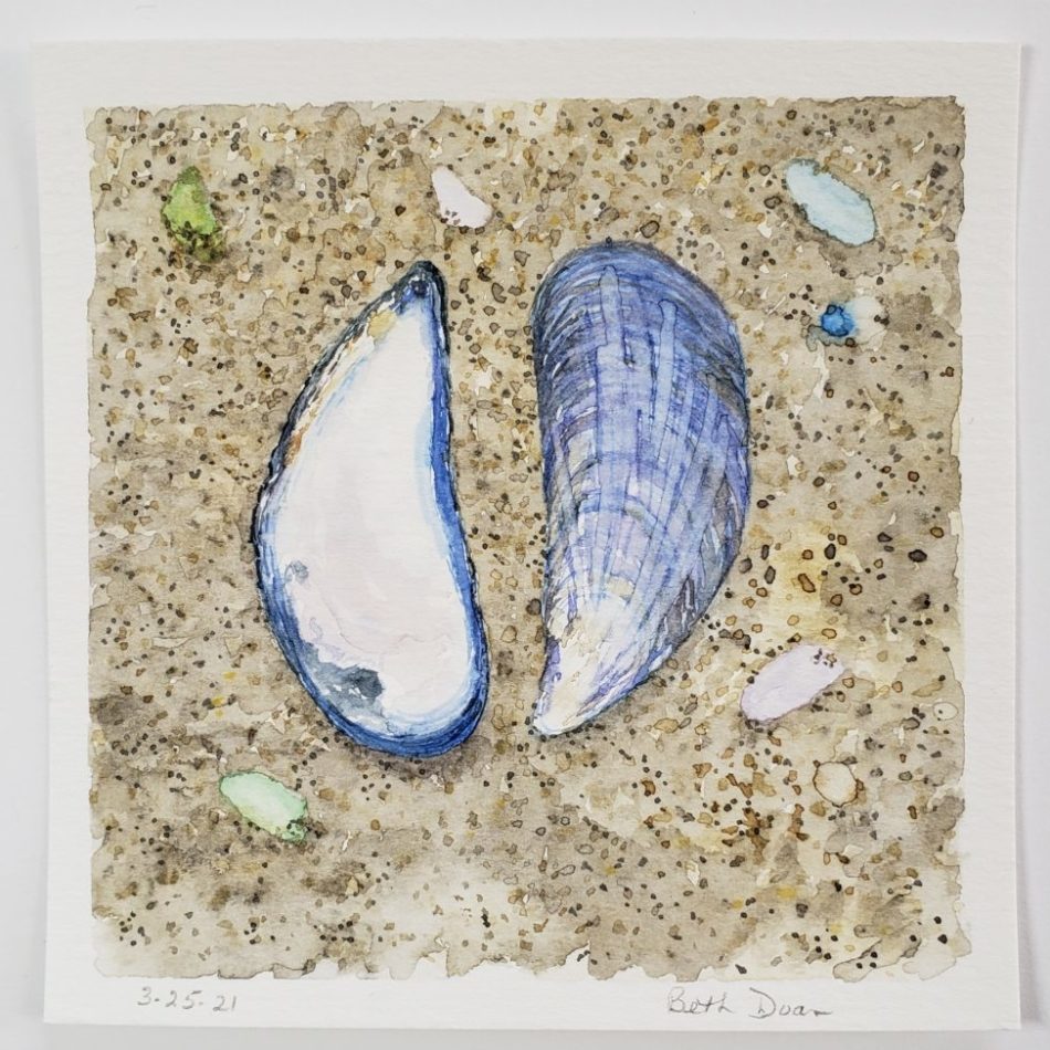 Beth Doan Maine Artist – Maine Made