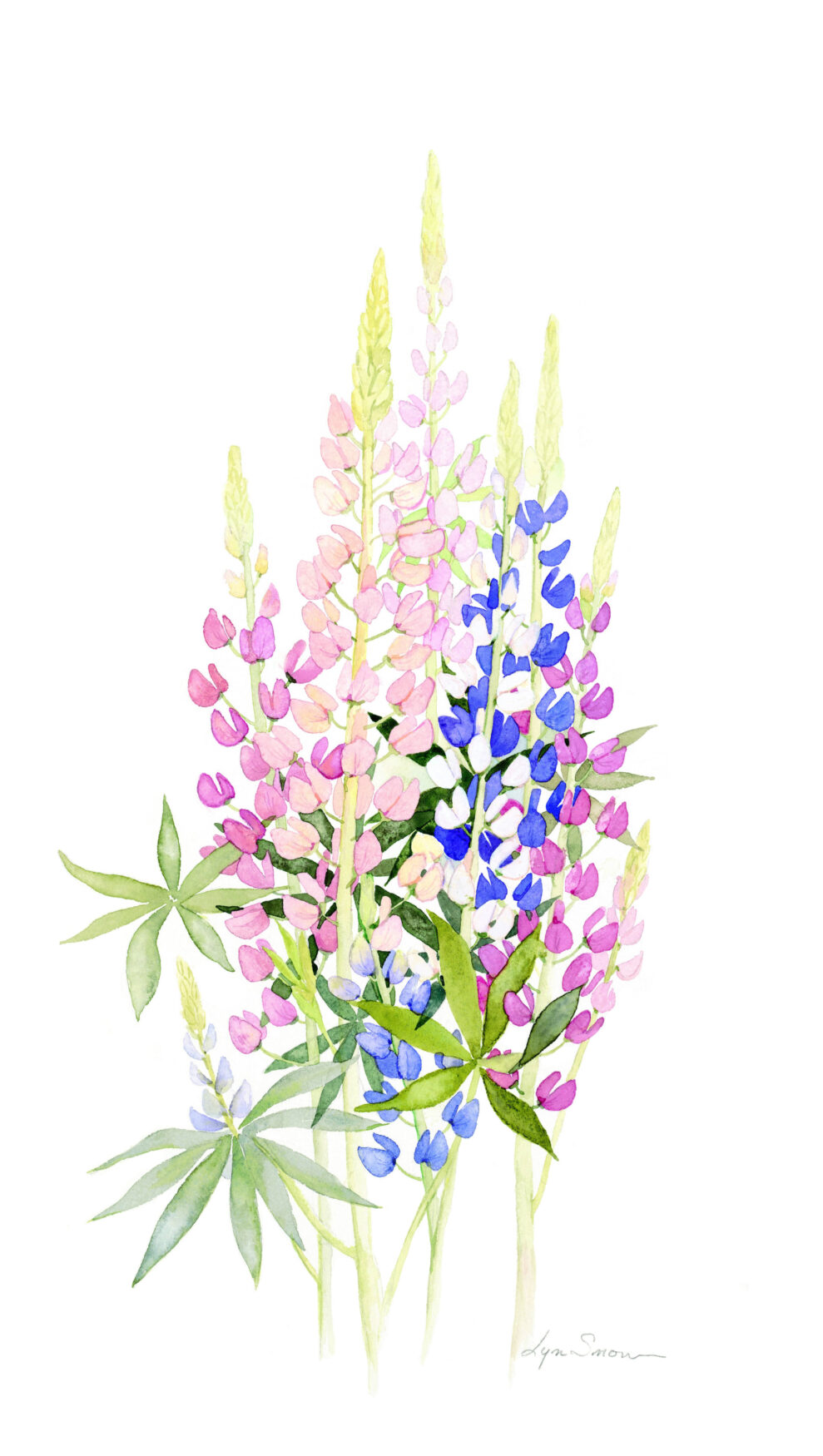 Lyn Snow Gallery – Maine Made